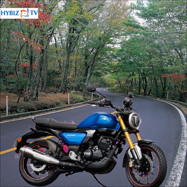 TVS Ronin 225 Motorcycle Launched in India